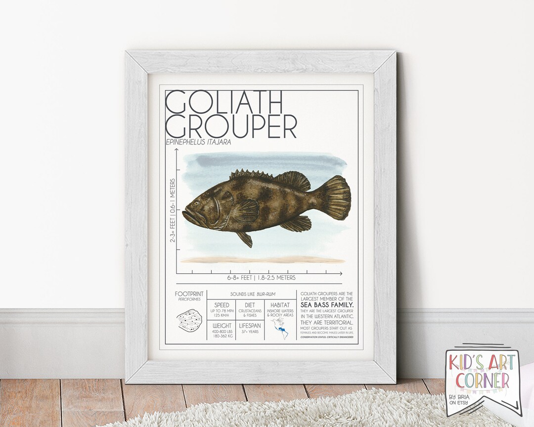 Goliath Grouper, Giant Fish, Animal Watercolor Painting, Sea Bass ...