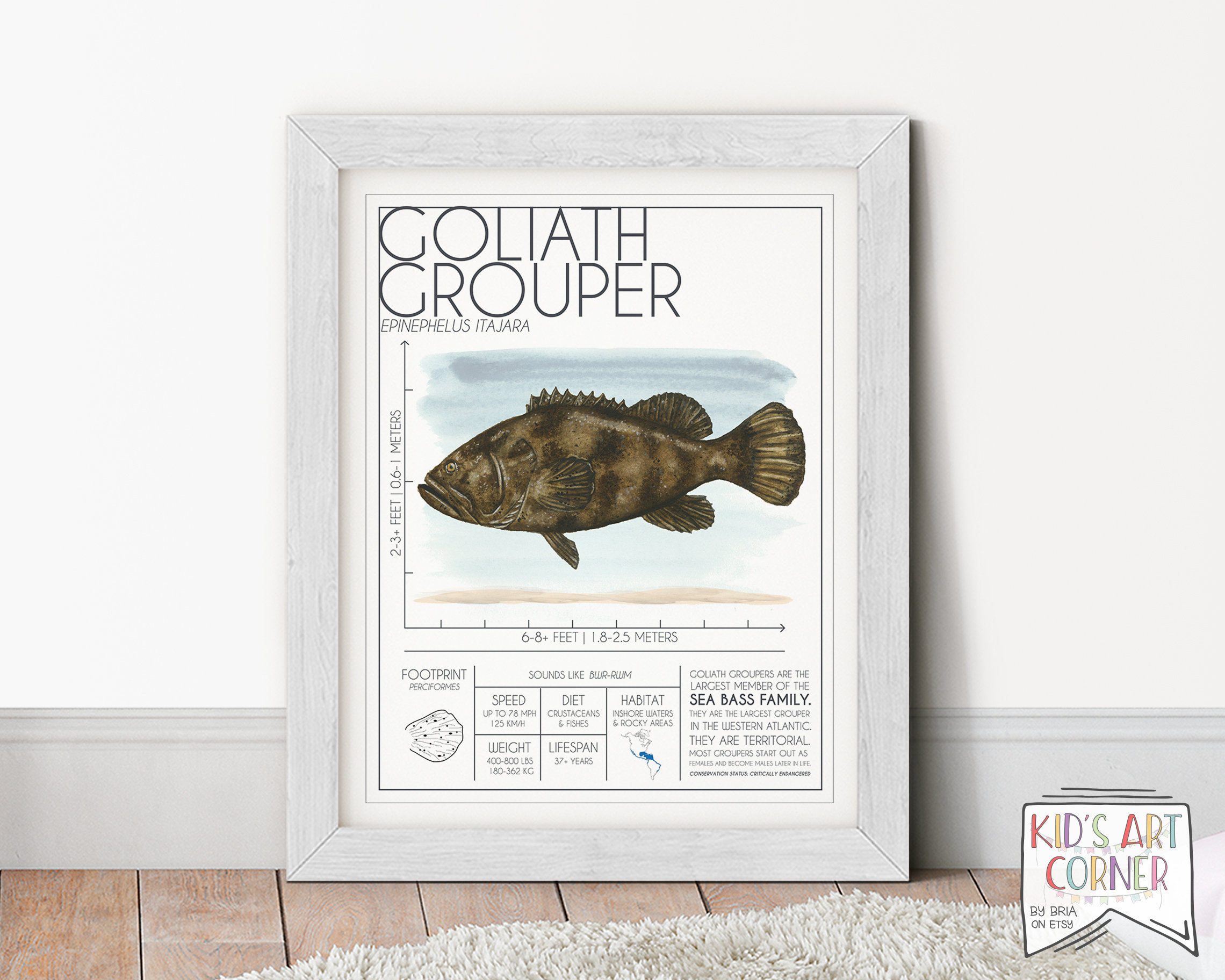 Goliath Grouper, Giant Fish, Animal Watercolor Painting, Sea Bass ...