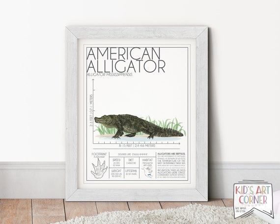Alligator Footprint Art