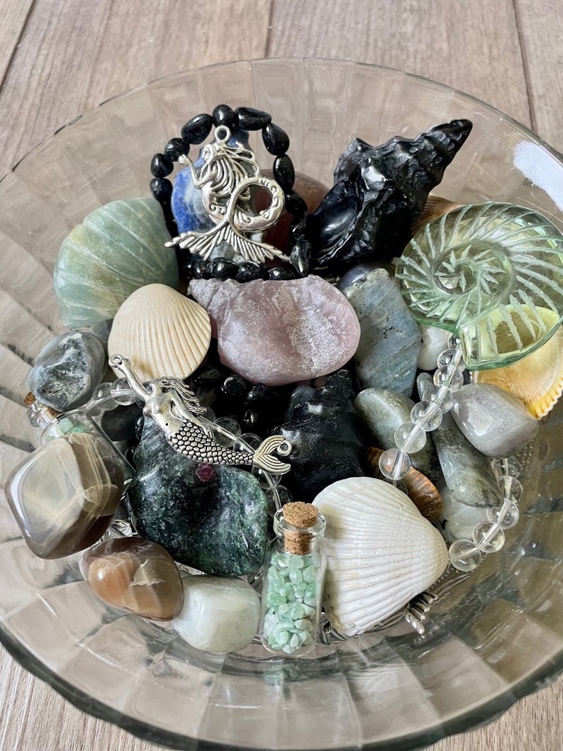 Siren Sea Witch Mermaid Crystal Confetti Mystery Lucky Scoop Shell ...
