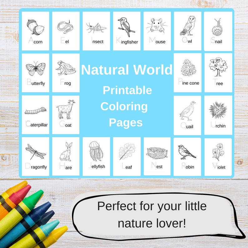 26 Natural World Alphabet Printable Coloring Pages - Etsy