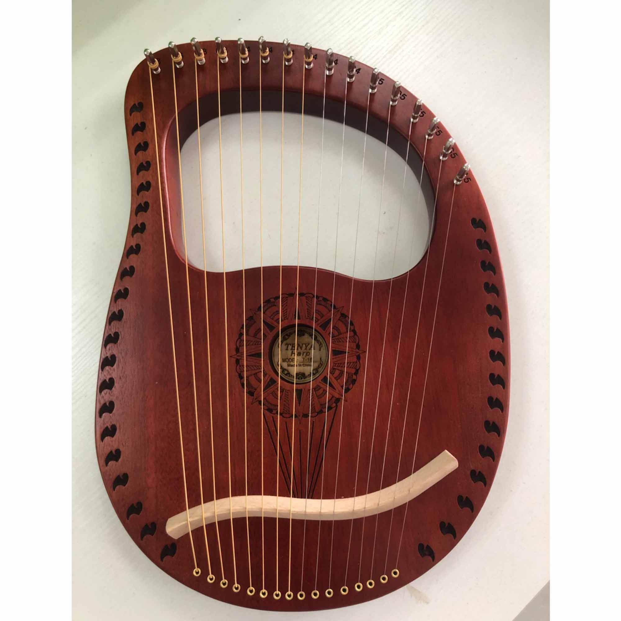 Small Harp Like Instrument