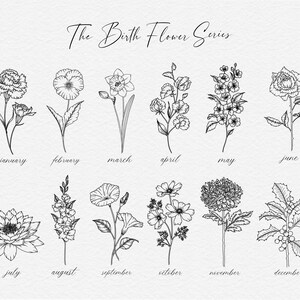Custom Birth Flower Art/birth Flowers/birthday Gift/birth Flower Series ...