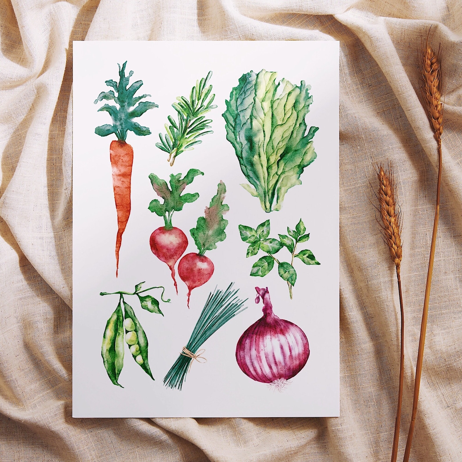 Vegetable Print/watercolor Vegetable Art Print/watercolour Vegetables ...