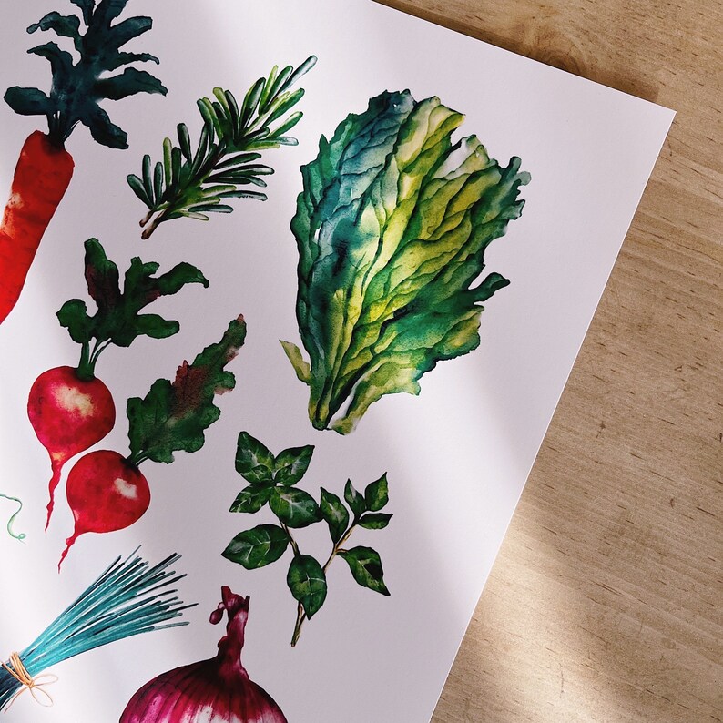 Vegetable Print/watercolor Vegetable Art Print/watercolour Vegetables ...