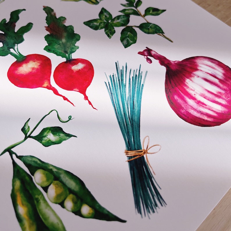 Vegetable Print/watercolor Vegetable Art Print/watercolour Vegetables ...