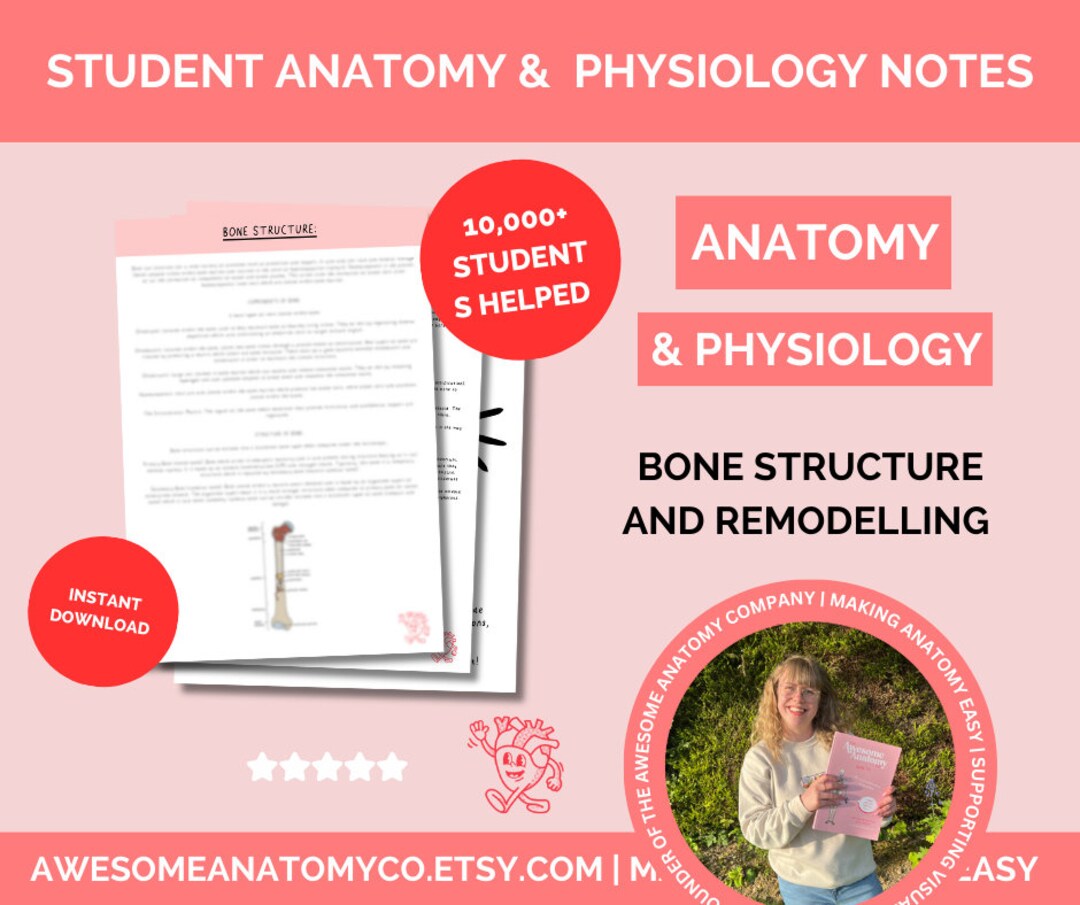 Anatomy and Physiology Notes, Bone Structure and Remodelling, Anatomy ...