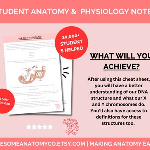 Anatomy and Physiology Notes, DNA and Chromosomes, Anatomy Study Notes ...