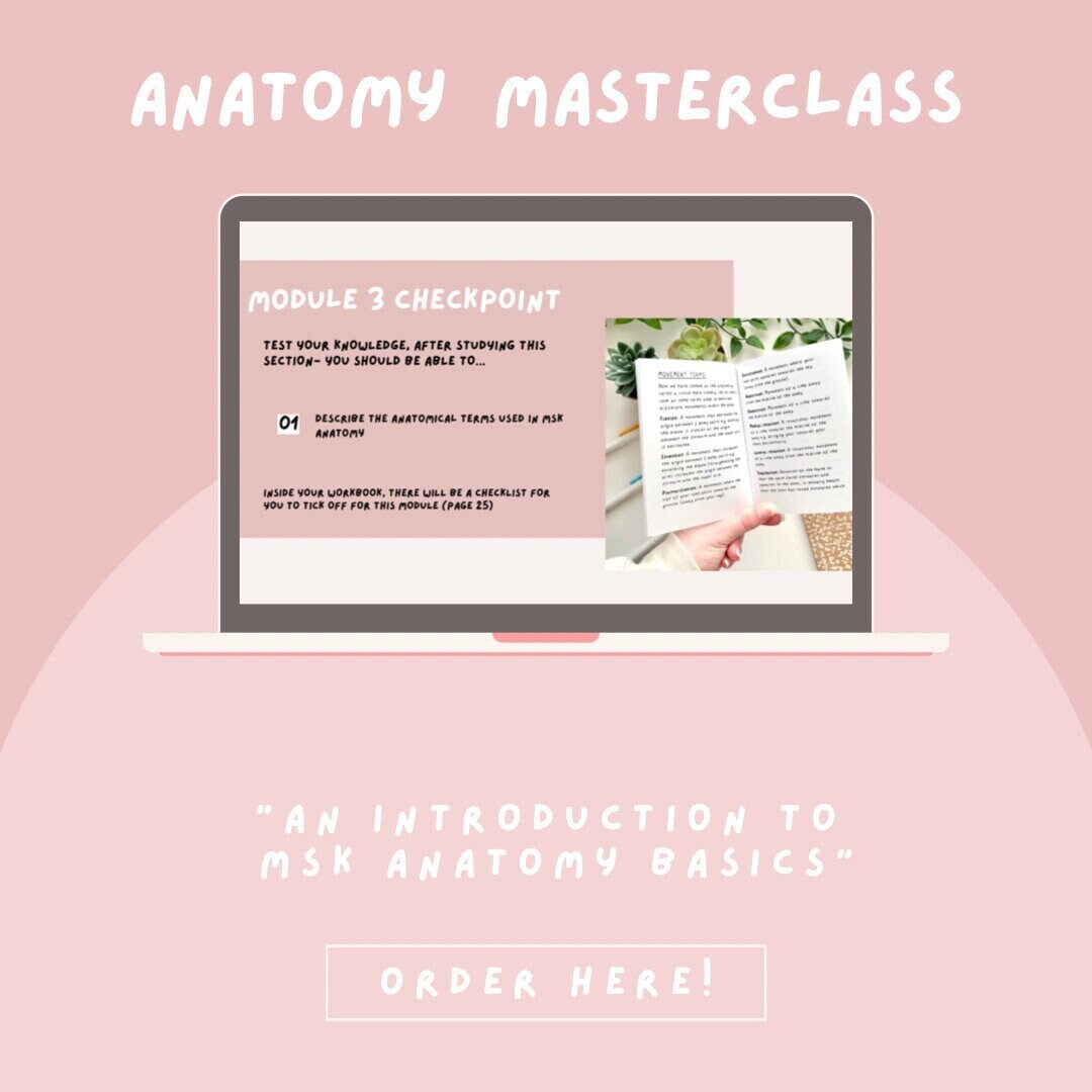 Anatomy Intro to MSK Masterclass // Musculoskeletal, Physiotherapy ...