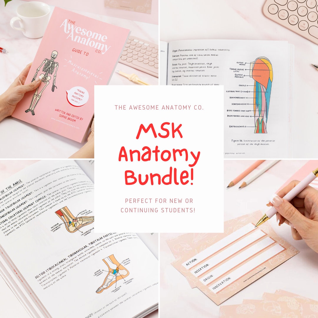 MSK Musculoskeletal Anatomy Bundle I Want It All - Etsy