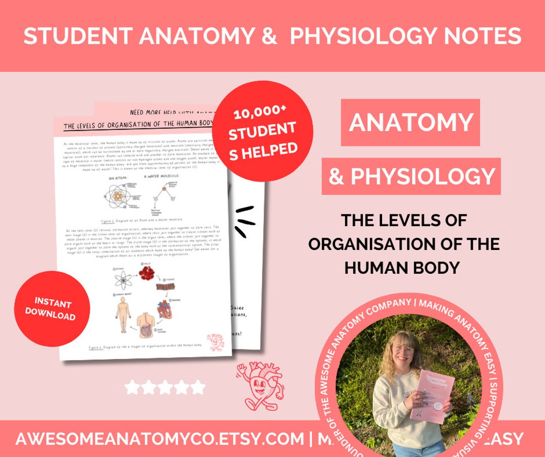 Anatomy and Physiology Notes, Organisation of the Human Body, Anatomy ...
