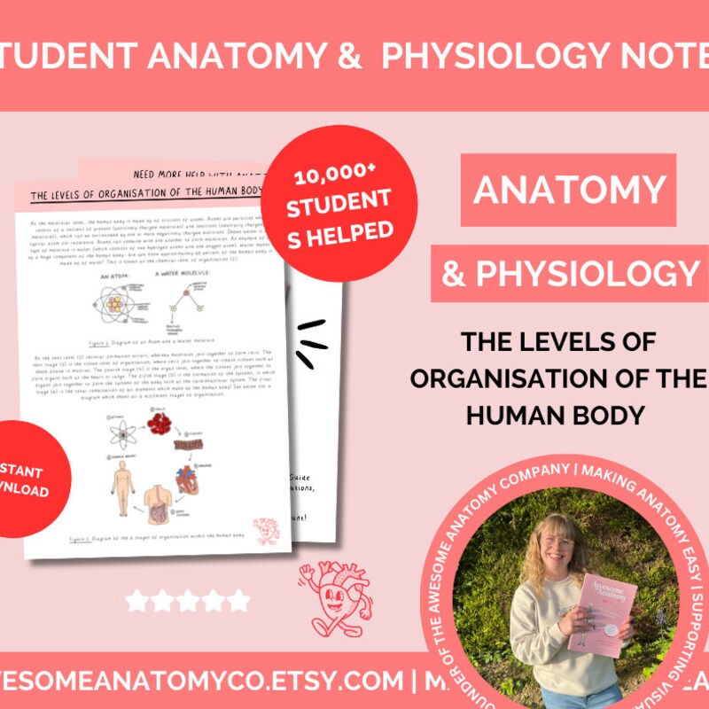 Anatomy Flashcards - Etsy