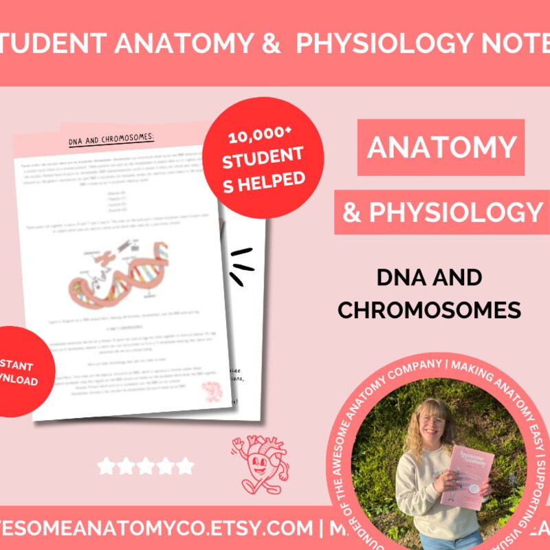 TheAwesomeAnatomyCo - Etsy