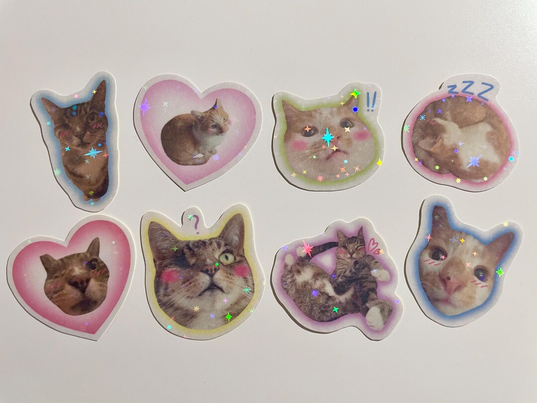 Silly Kitties Sticker Pack - Etsy
