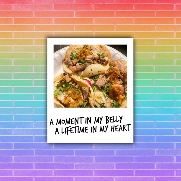 Vinyl a Moment in My Belly - Etsy