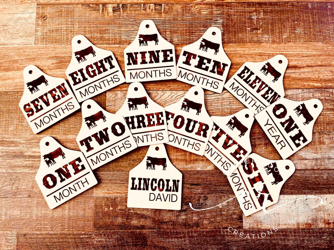 Custom Engraved Baby Milestone Tags Cow Eartag Milestones Baby ...