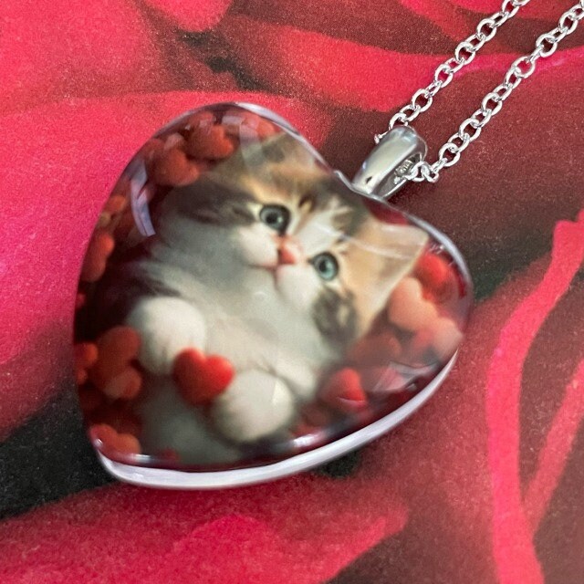 Cute Heart Shaped Kitten Cat Holding A Heart i Love You Today Tomorrow ...