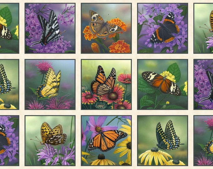 Butterfly Meadow Block Panel 24" X 43" 15 Blocks From Elizabeth's ...