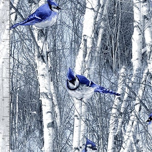 Timeless Treasures Fabrics Winter Hike Blue Jays in Winter Birch Trees ...
