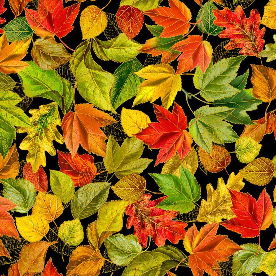 Timeless Treasures Metallic Fall Leaves Harvest-cm2803 Black Collection ...