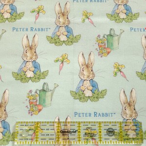Spring Creative Peter Rabbit Garden Scenic Round Pack and Badge 100% ...