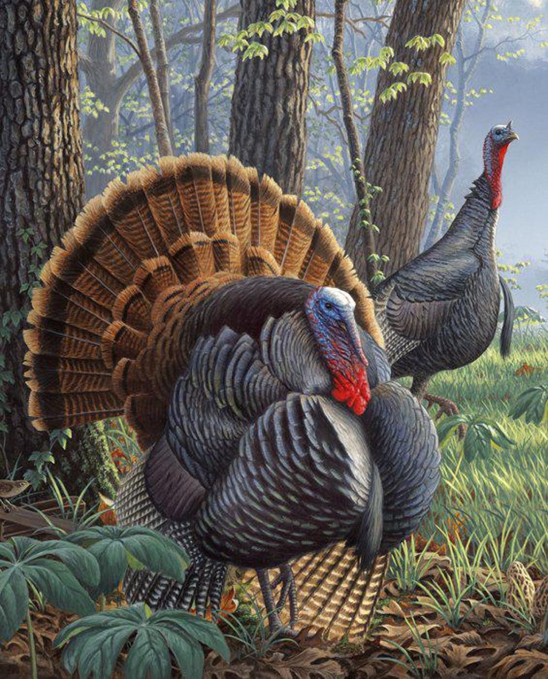 David Textiles Digital Prints JQ-0069-9C-1 Multi Wild Turkey 36" X 44 ...