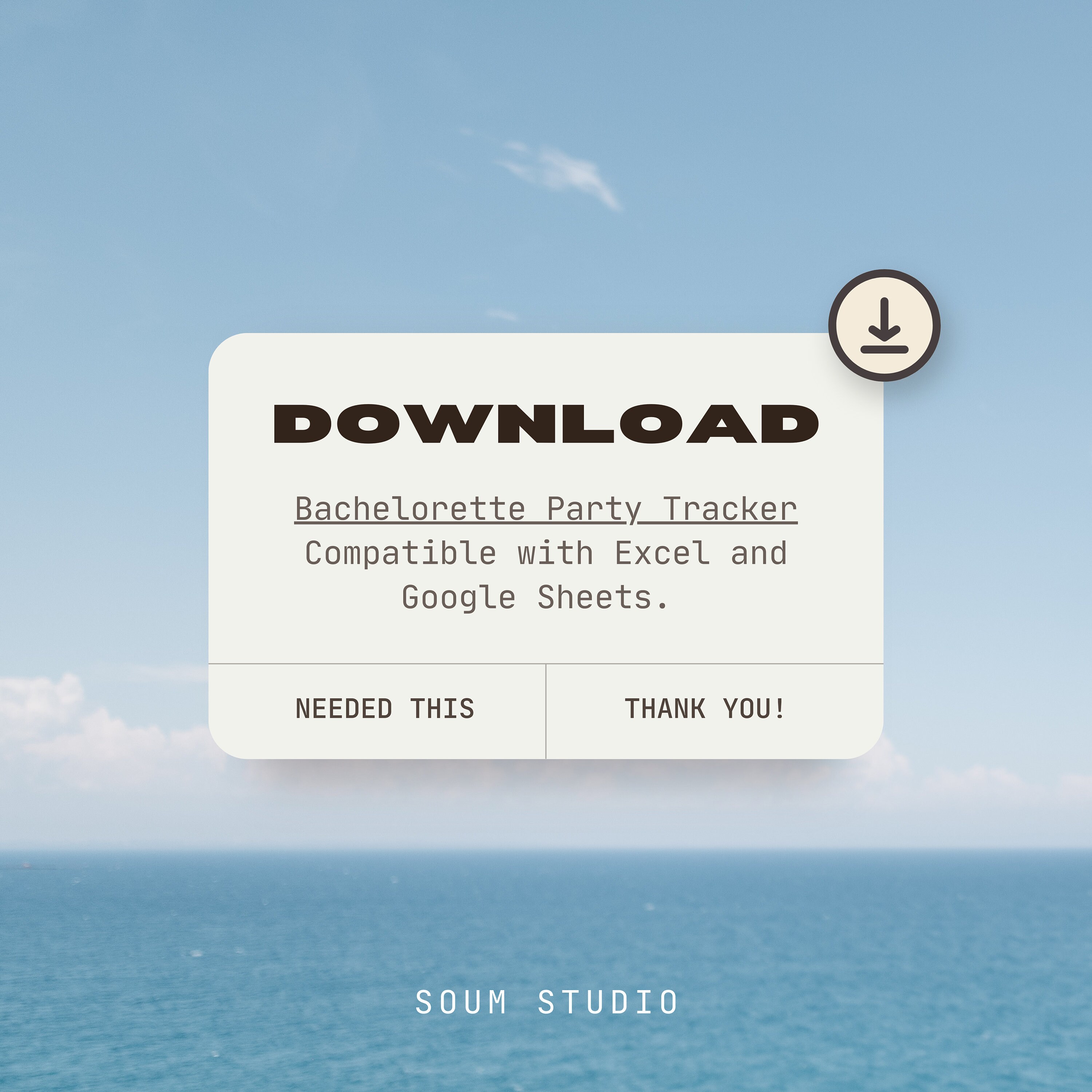 Bachelorette Party Spreadsheet & Tracker. Digital Download for Excel ...