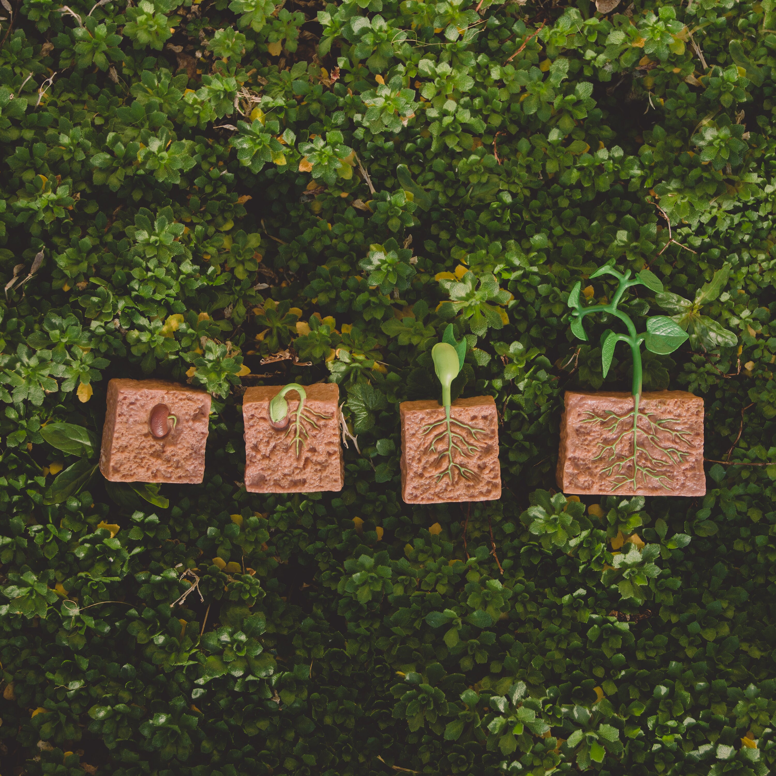 Toys & Games Toys teachers resources Preschool activity 3 part cards ...