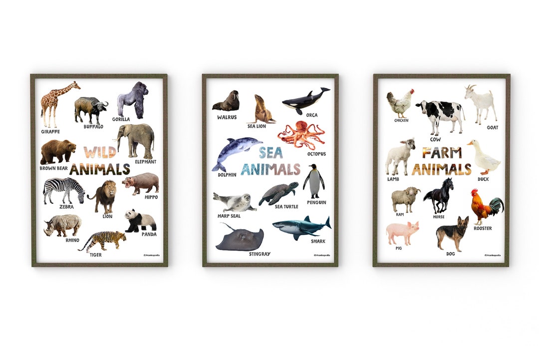 Set of 3 Animal Posters, Kids Decor, Montessori, Educational Posters ...