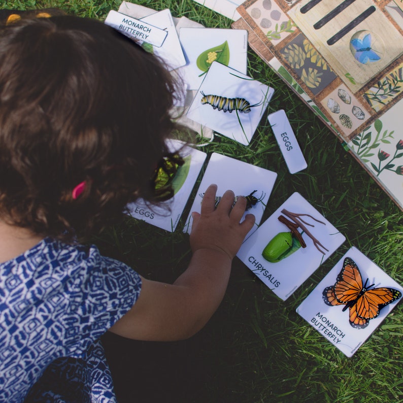 Life Cycle of a Monarch Butterfly Montessori Cards Preschool - Etsy