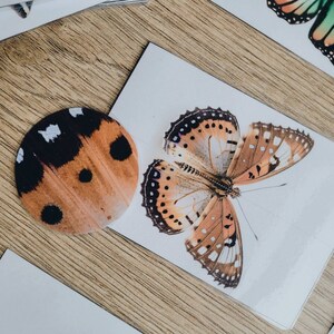 Butterfly Matching Activity Montessori Flashcards Toddler Pattern ...