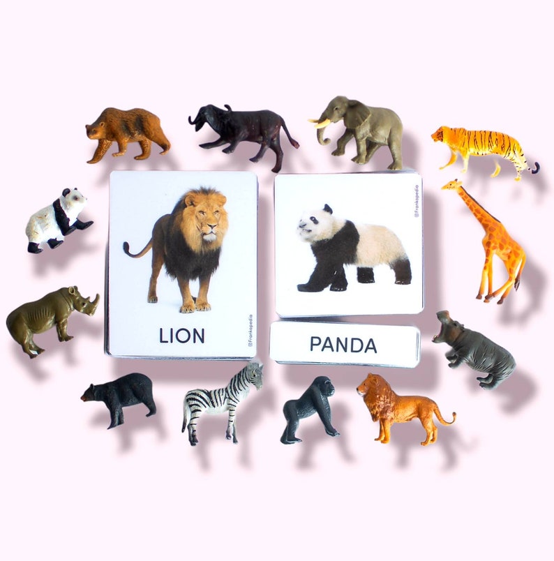 Wild Animals Montessori 3 Part Cards With Figurines Matching | Etsy UK
