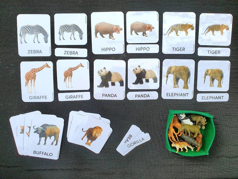 Animales salvajes Montessori 3 tarjetas con figuras Juego de | Etsy