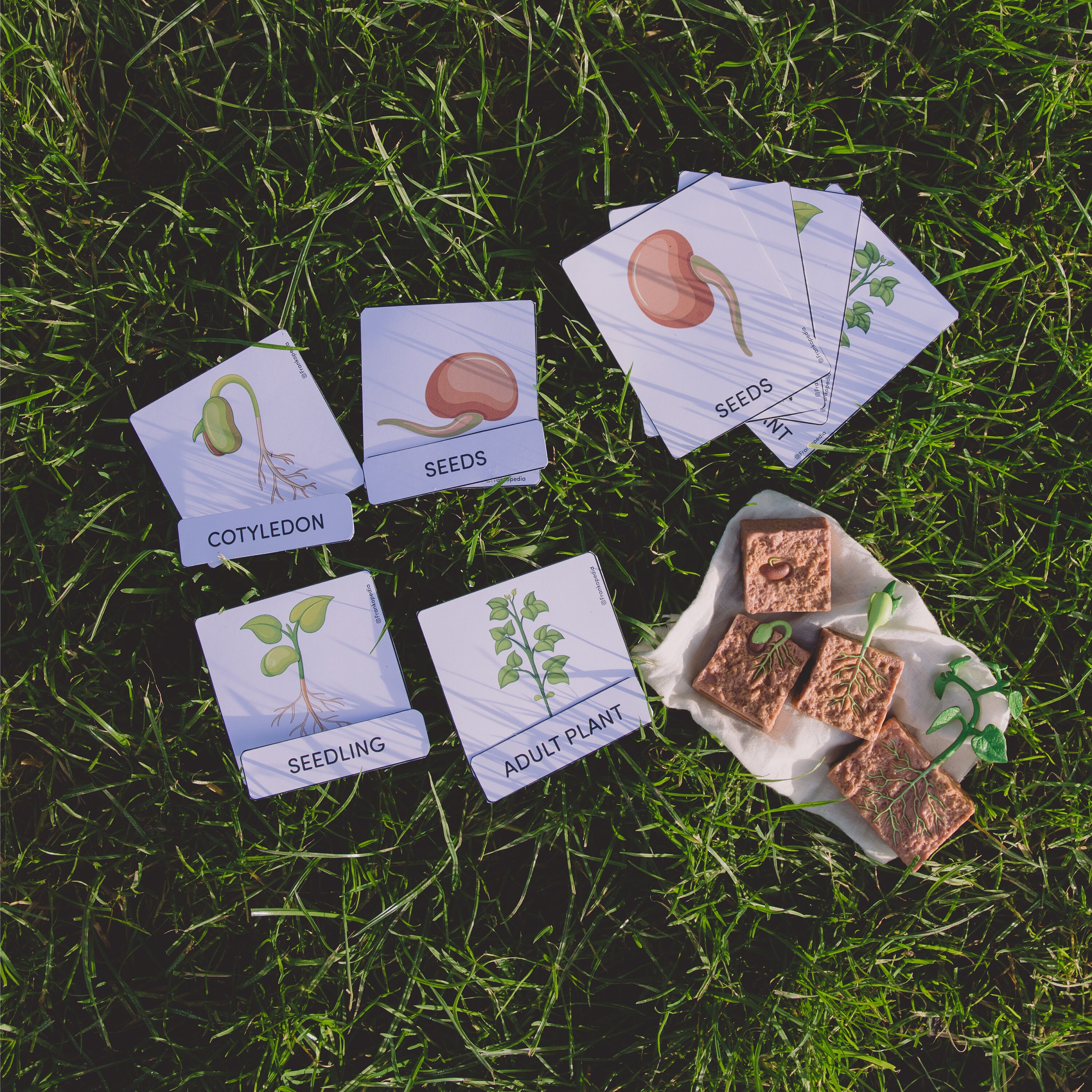 Toys & Games Toys teachers resources Preschool activity 3 part cards ...