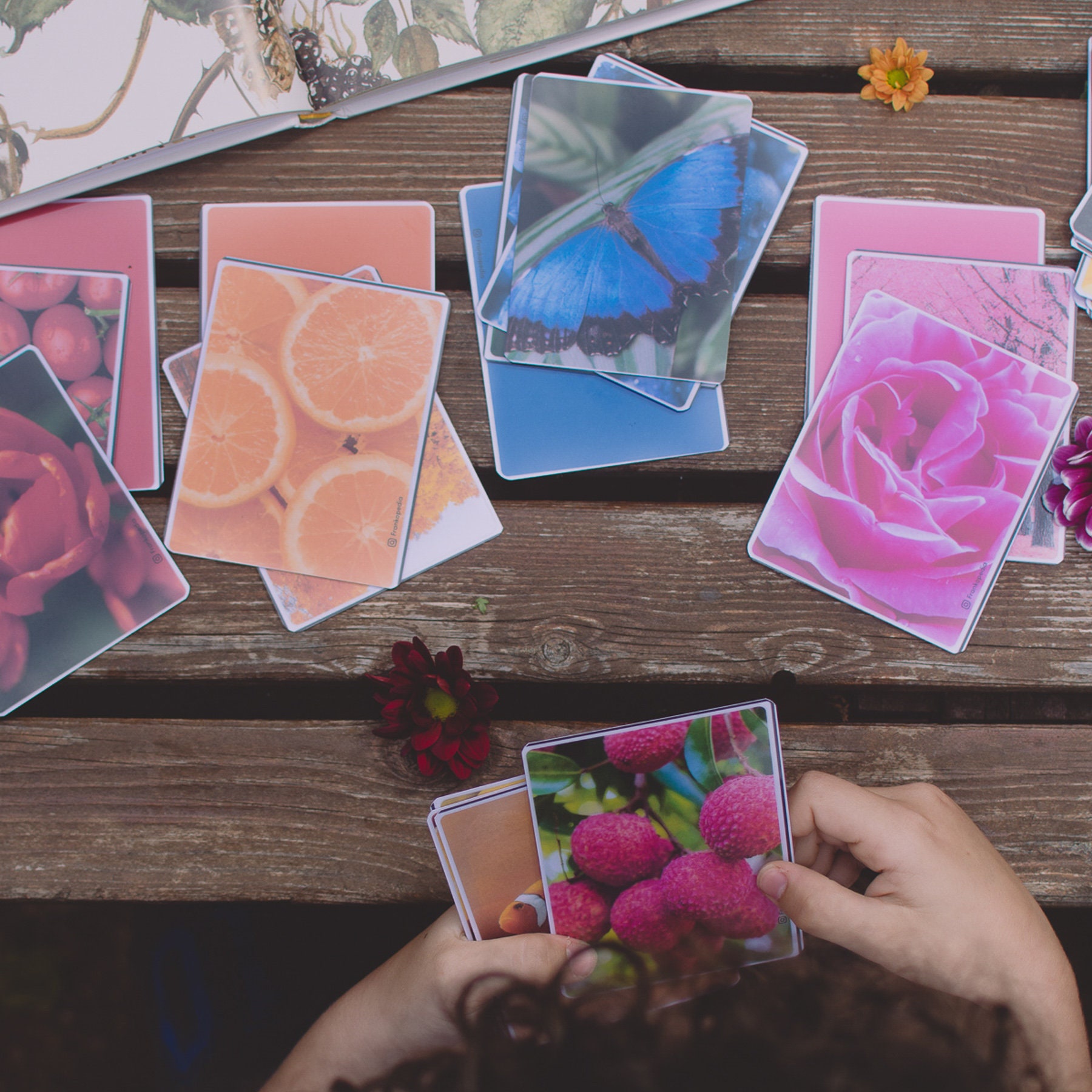 Colour Matching Colours in Nature Colour Learning - Etsy UK