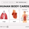 Body Parts Cards Montessori Materials Homeschool Body Part Real ...