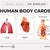 Body Parts Cards Montessori Materials Homeschool Body Part Real ...