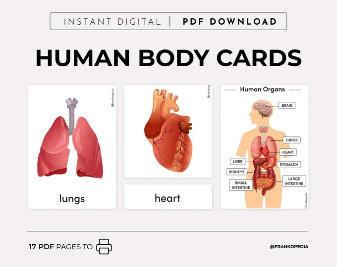 Buy Montessori Internal Organs Matching Game DOWNLOADABLE PDF Online in ...