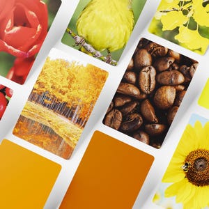 Colour Matching * Colours in Nature * Colour Learning * Montessori ...