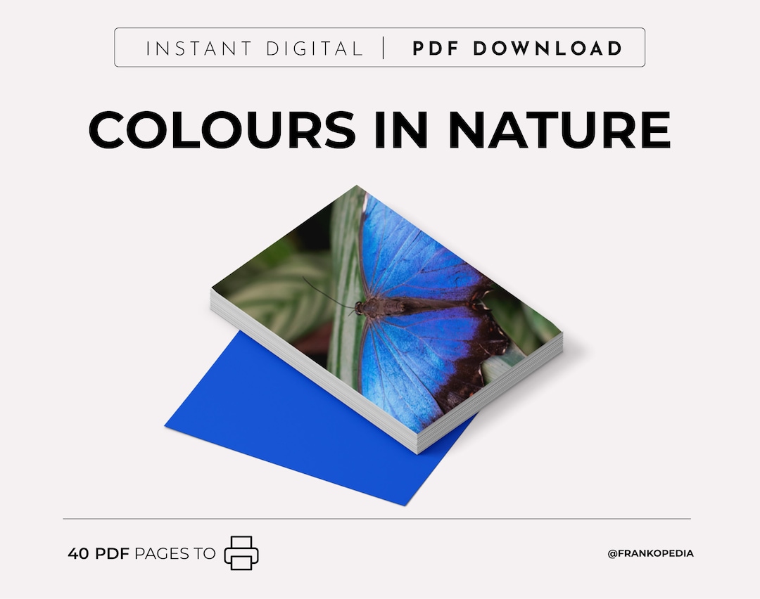 Colors of Nature Cards Matching Color Learning Montessori Colors Colour ...