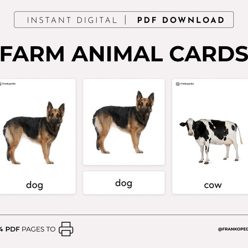 Wild Animals Montessori 3 Part Cards Digital PDF Printable - Etsy UK