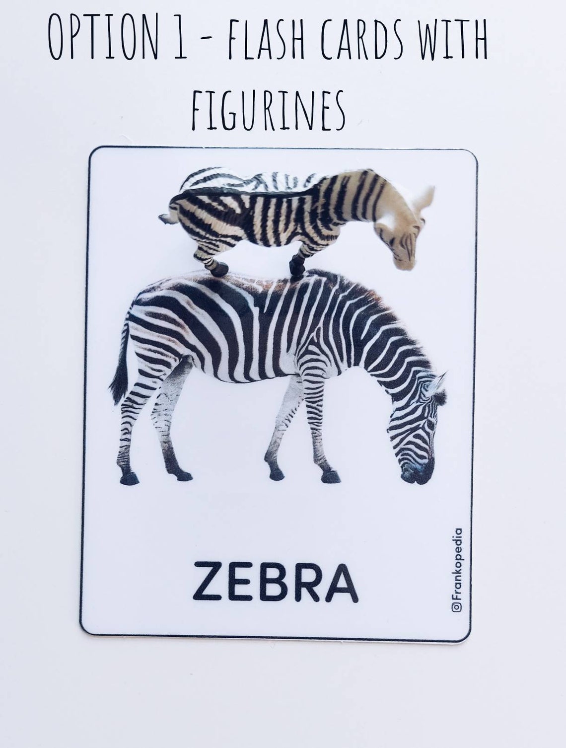 Wild Animals Montessori 3 Part Cards With Figurines Matching | Etsy