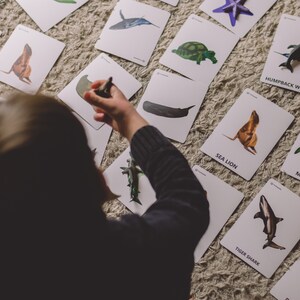 Sea Animals Cards Montessori Ocean Animals Activity Montessori Cards ...