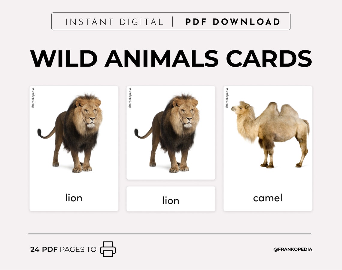 Wild Animals Montessori 3 Part Cards Digital PDF Printable - Etsy UK
