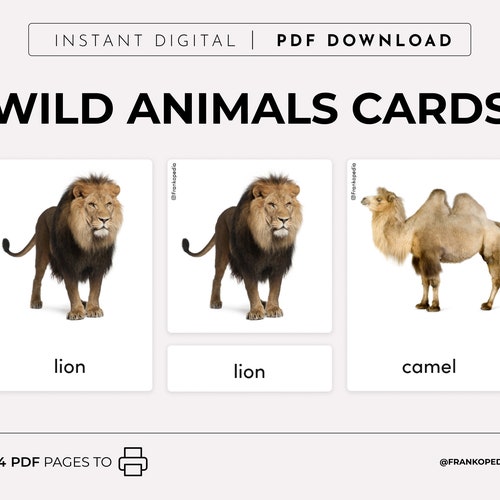 Wild Animals Montessori 3 Part Cards Digital PDF Printable - Etsy UK