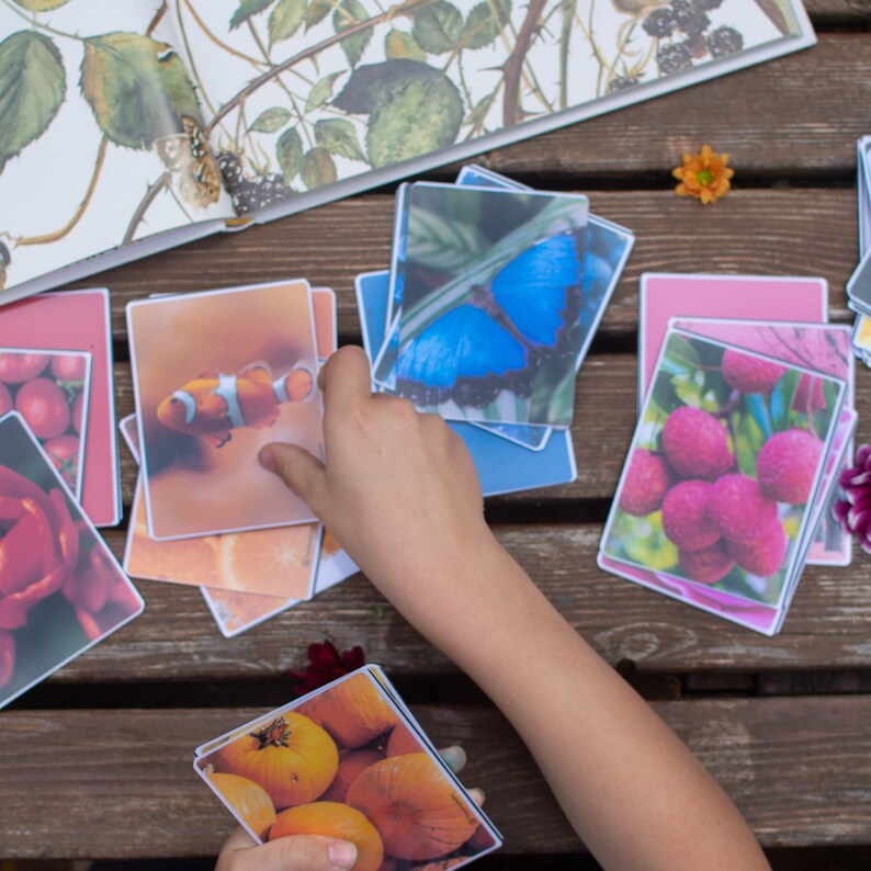 Colour Matching Colours in Nature Colour Learning - Etsy UK