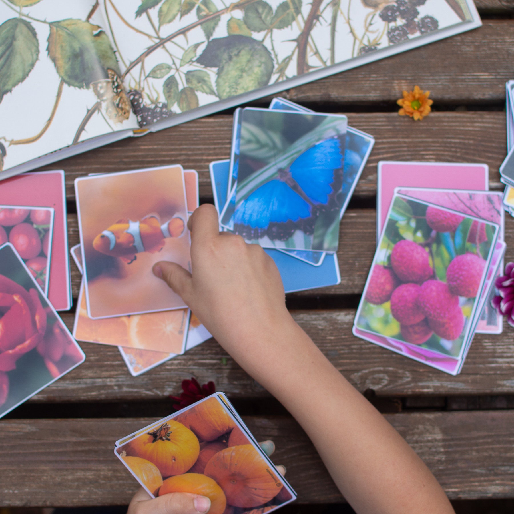 Colour Matching * Colours in Nature * Colour Learning * Montessori ...