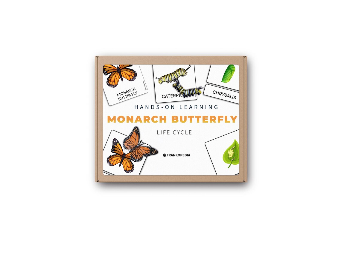 Life Cycle of a Monarch Butterfly Montessori Cards Preschool Science ...