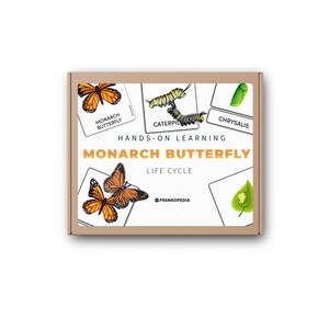 Life Cycle of a Monarch Butterfly Montessori Cards Preschool Science ...