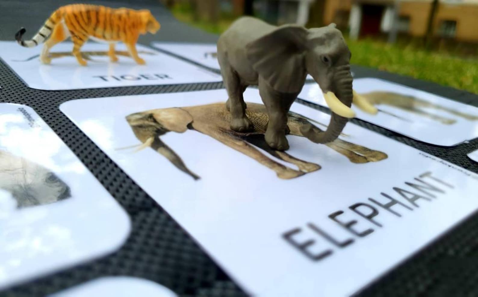 Wild Animals Montessori 3 Part Cards Digital PDF Printable - Etsy UK